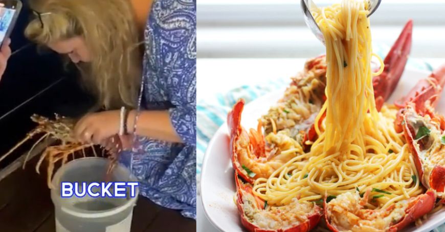 【价值RM1000的龙虾面！】点了龙虾面却不忍心它被煮熟，女子决定将它「放生」！ | 88razzi